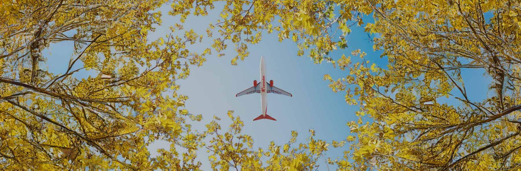 Plane Landing Explained: Steps, Systems, and Secrets - Corendon Blog